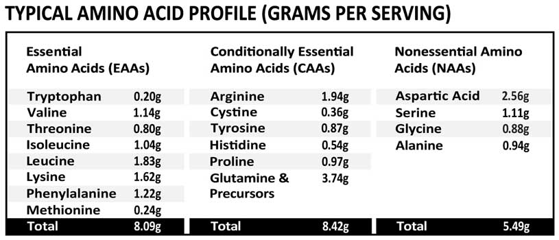Buy Pea Protein Isolate by PHN Sale | Protein Powders in Pakistan